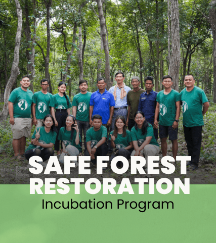 SAFE Forest Restoration Incubation Program - Impact Hub Phnom Penh
