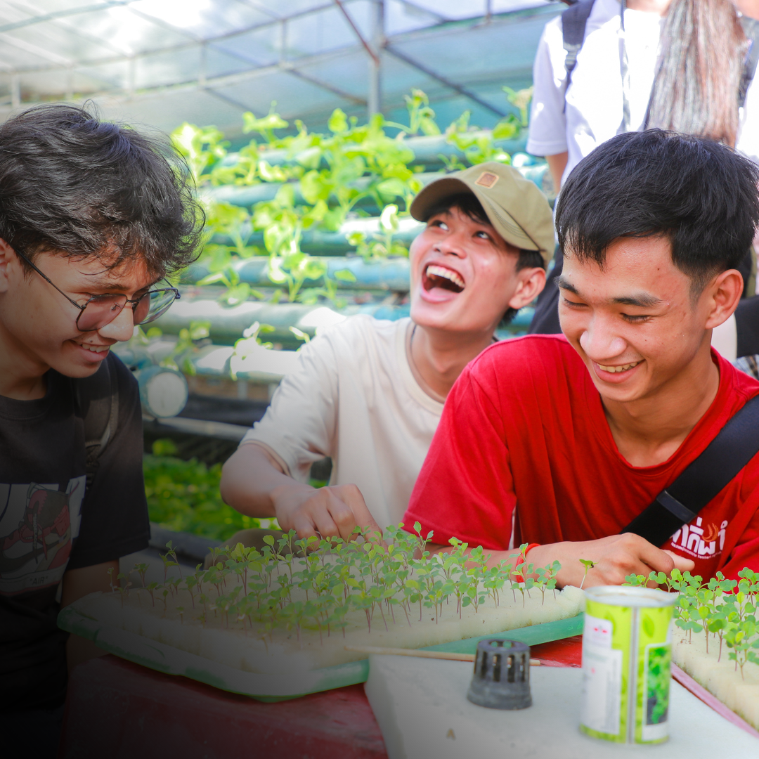 Impact Reports - Impact Hub Phnom Penh