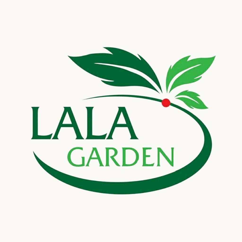 Lala Garden - Impact Hub Phnom Penh